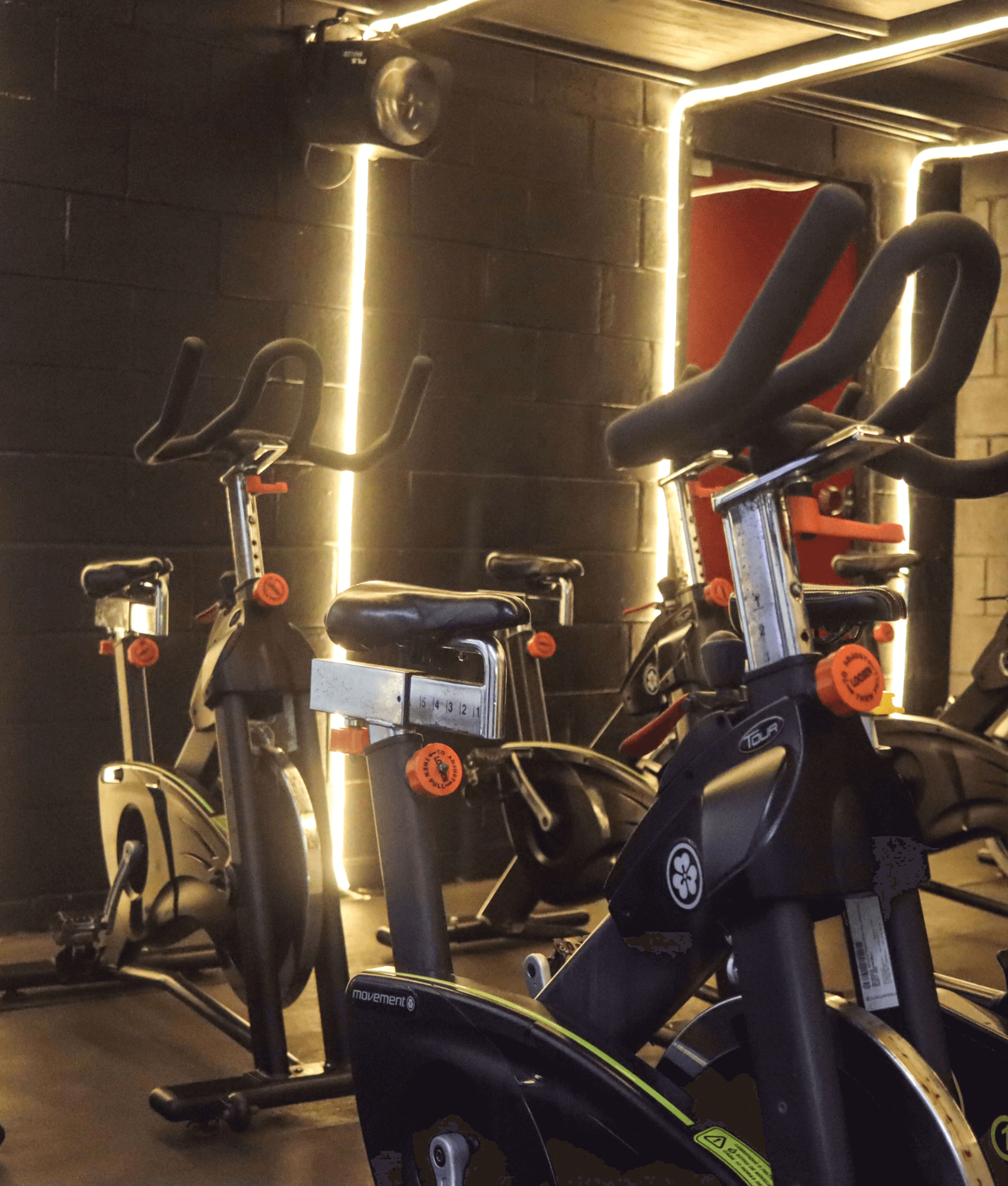 Arena Training foi projetada para garantir a você o melhor suporte de ...